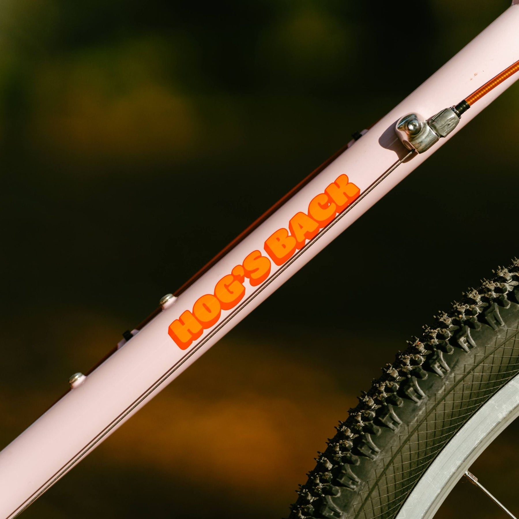 BASSI BIKES Hog's Back × To Smile Bar Adventure