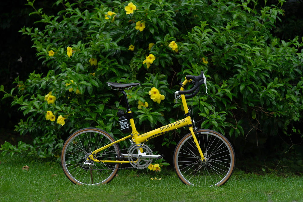 bikefriday