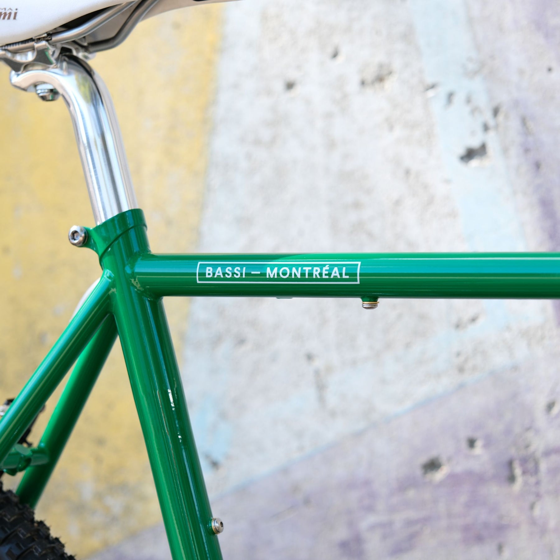 BASSI BIKES Bloomfield for Daily Life