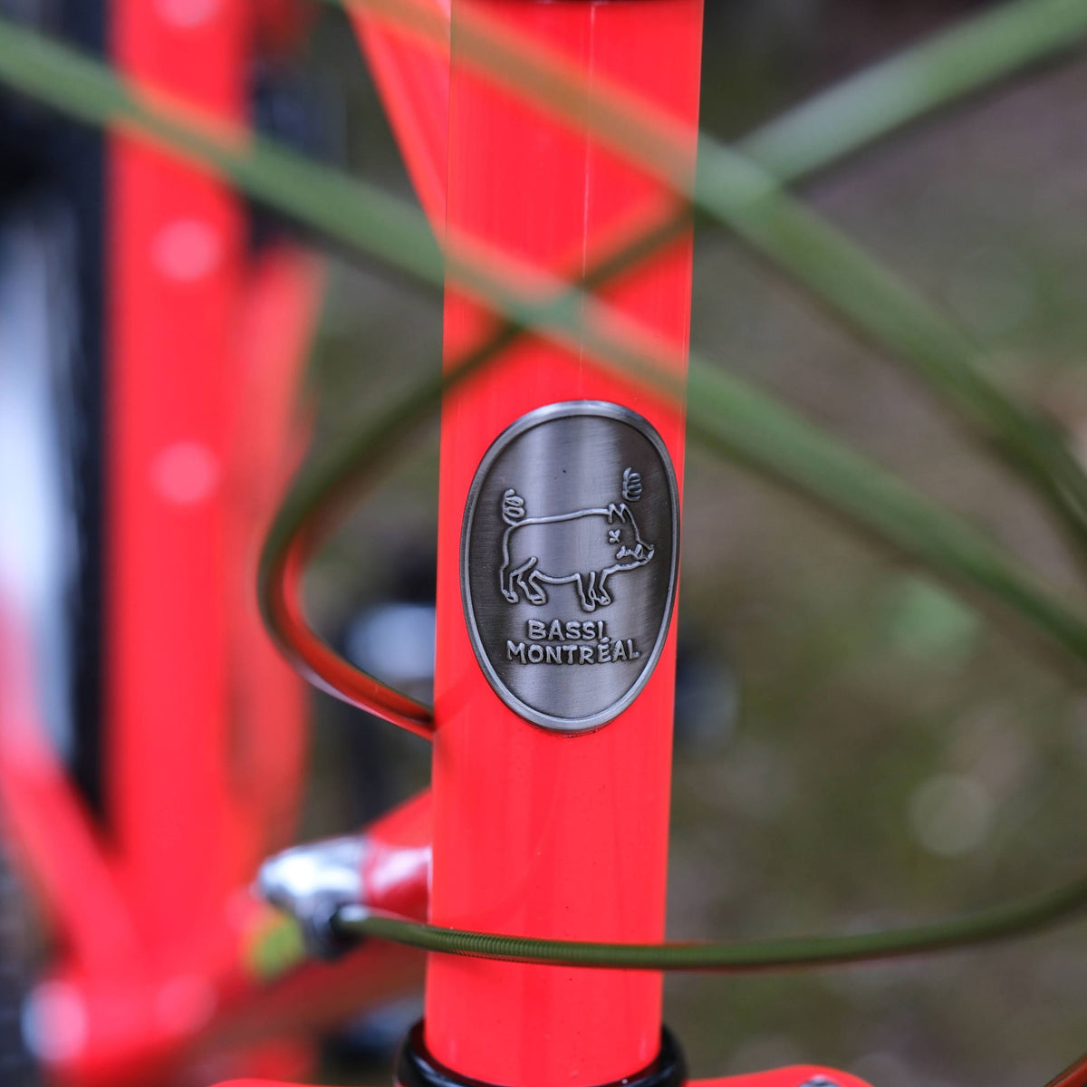 BASSI BIKES Hog's Back Fun 3 Cruiser